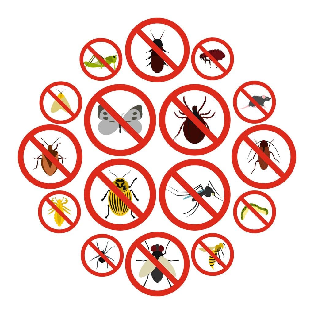 Toronto Landscaping Strategies for Preventing Pests | GreenLeaf