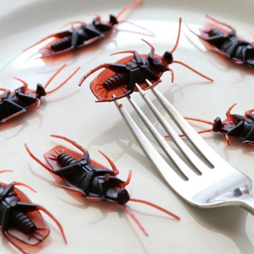 Cockroaches in Toronto Restaurants on the Rise | GreenLeaf Pest Control